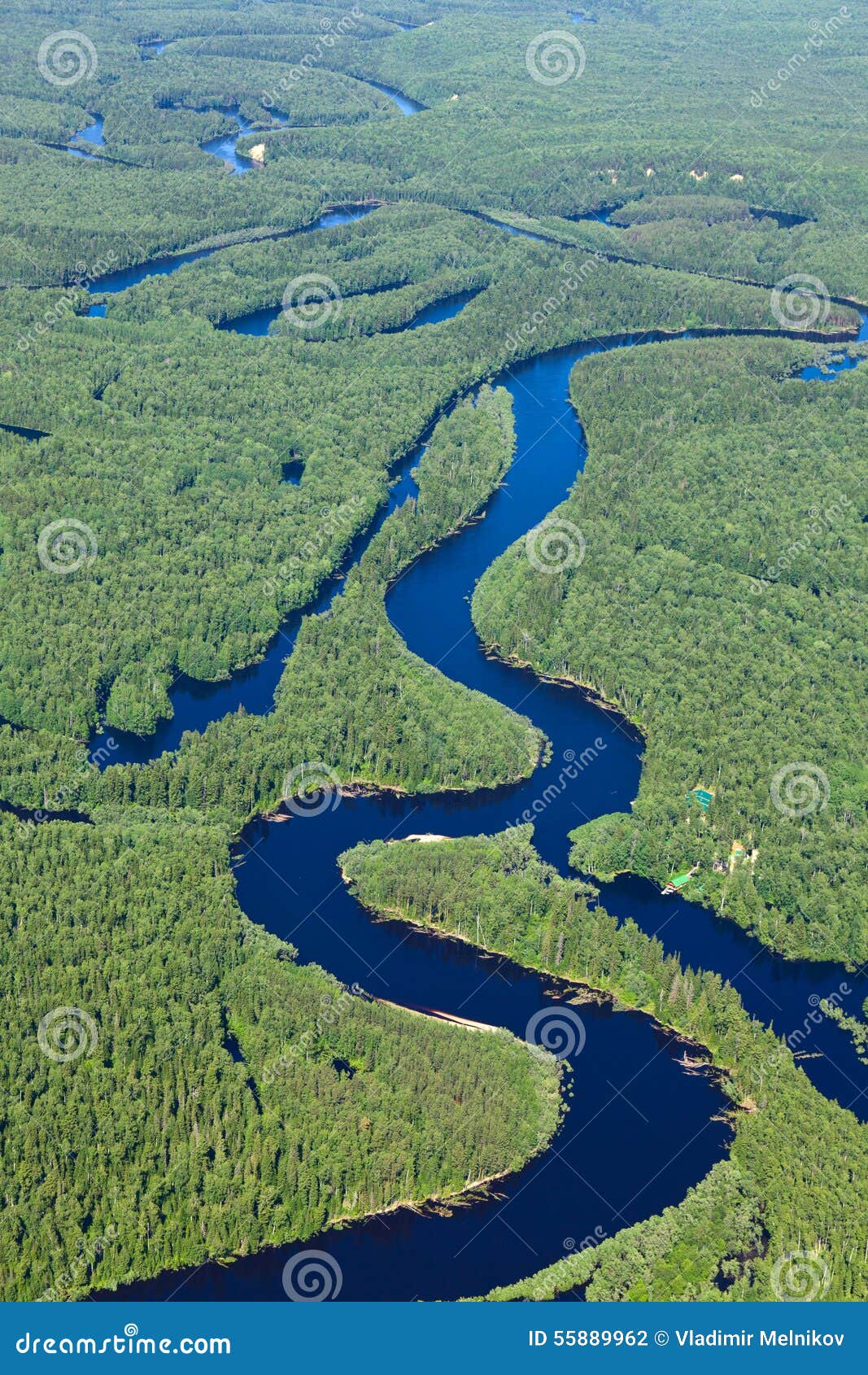 Forest river, top view stock photo. Image of tourism - 55889962