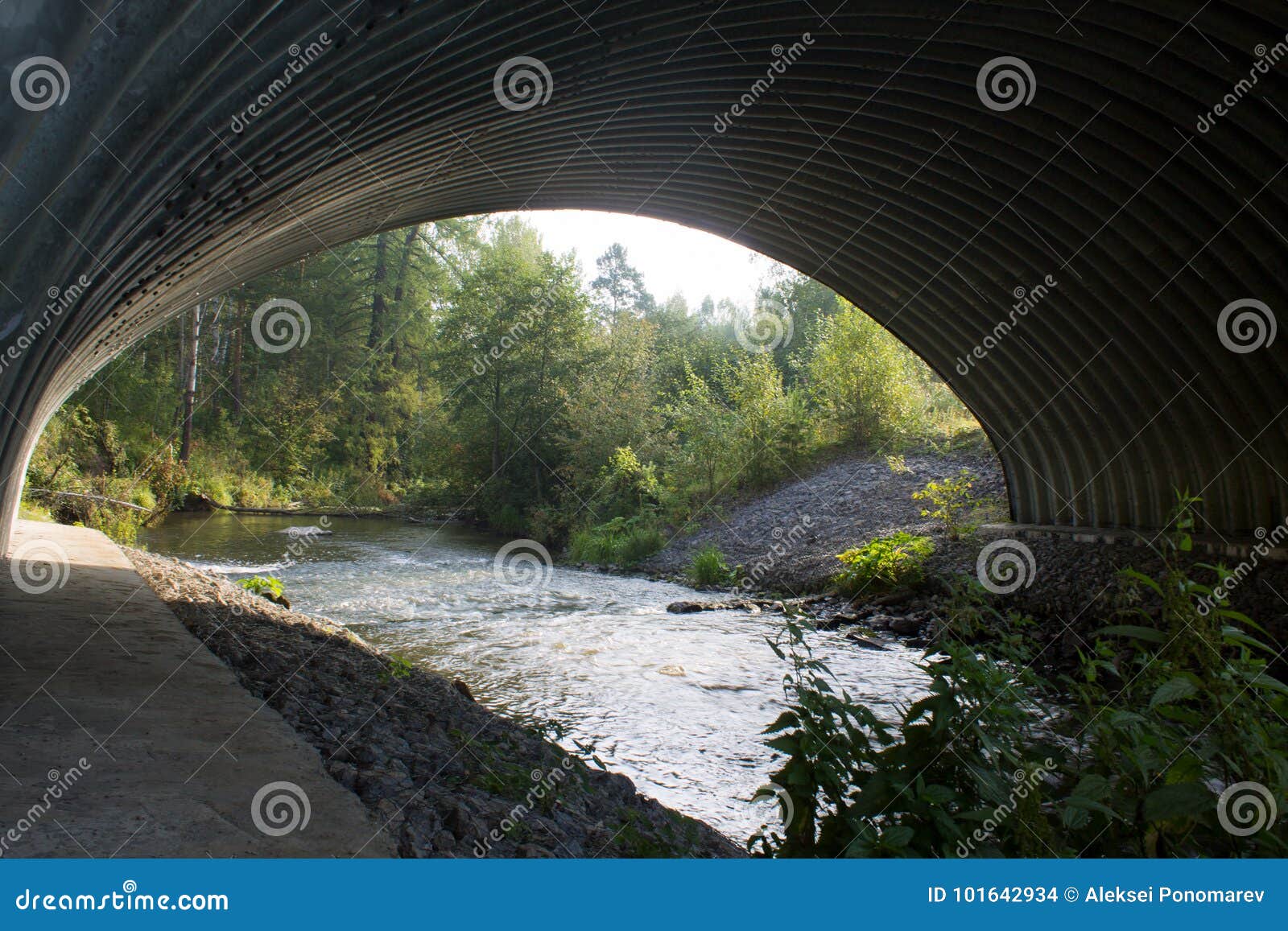 Forest River Under the Bridge Stock Photo - Image of outdoor, creek ...