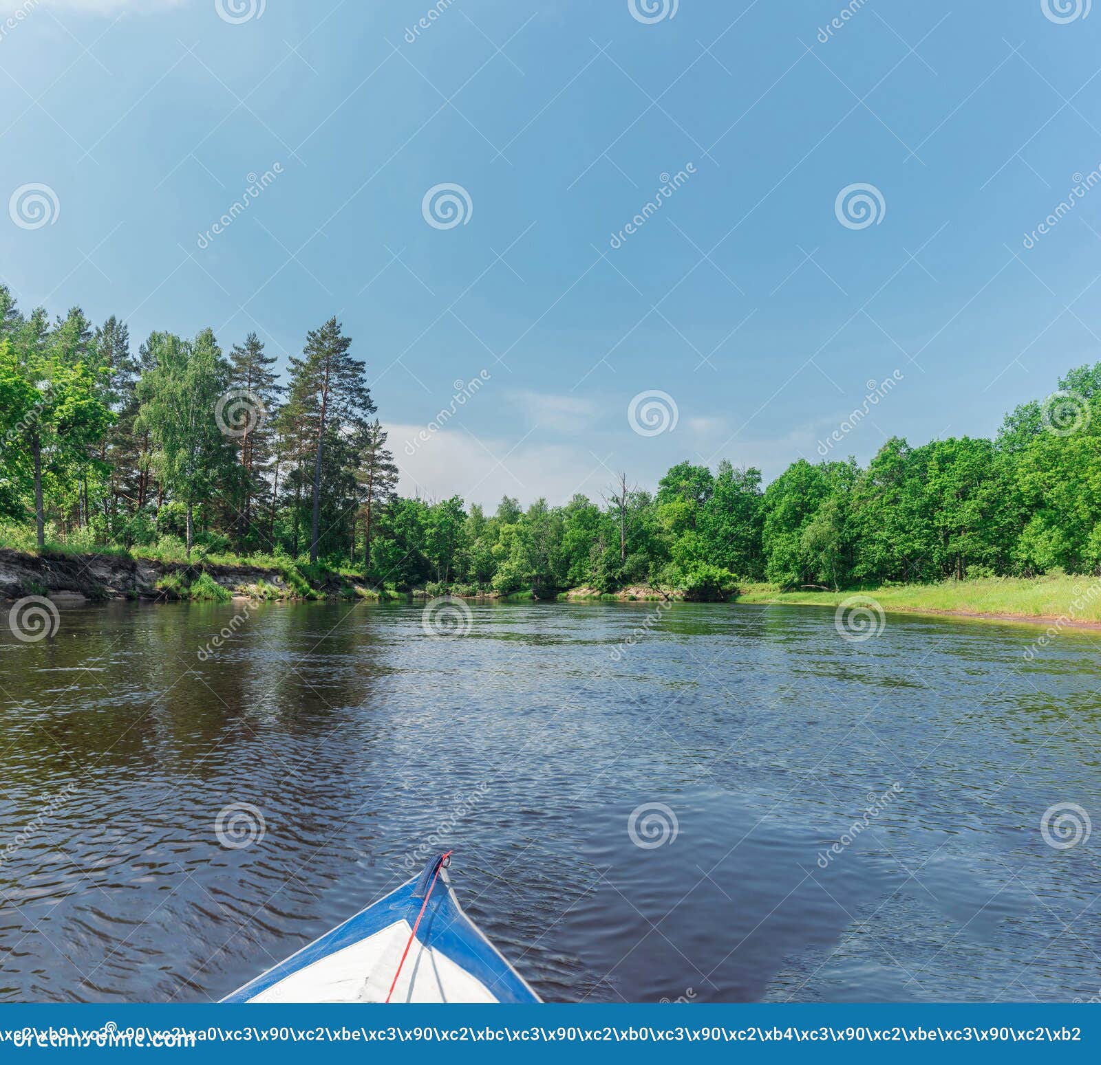 Forest River View from Kayaks Stock Photo - Image of forest, travel ...