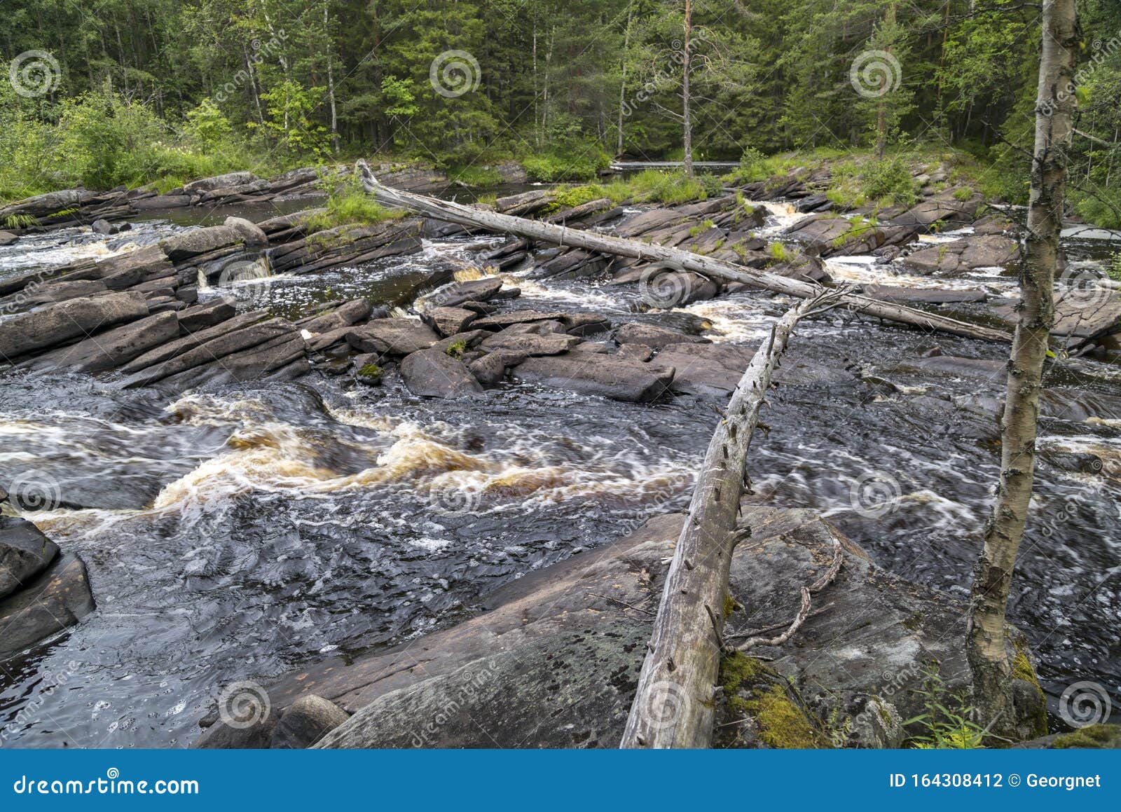 Forest River. Water Flows through the Threshold. Stock Photo - Image of ...