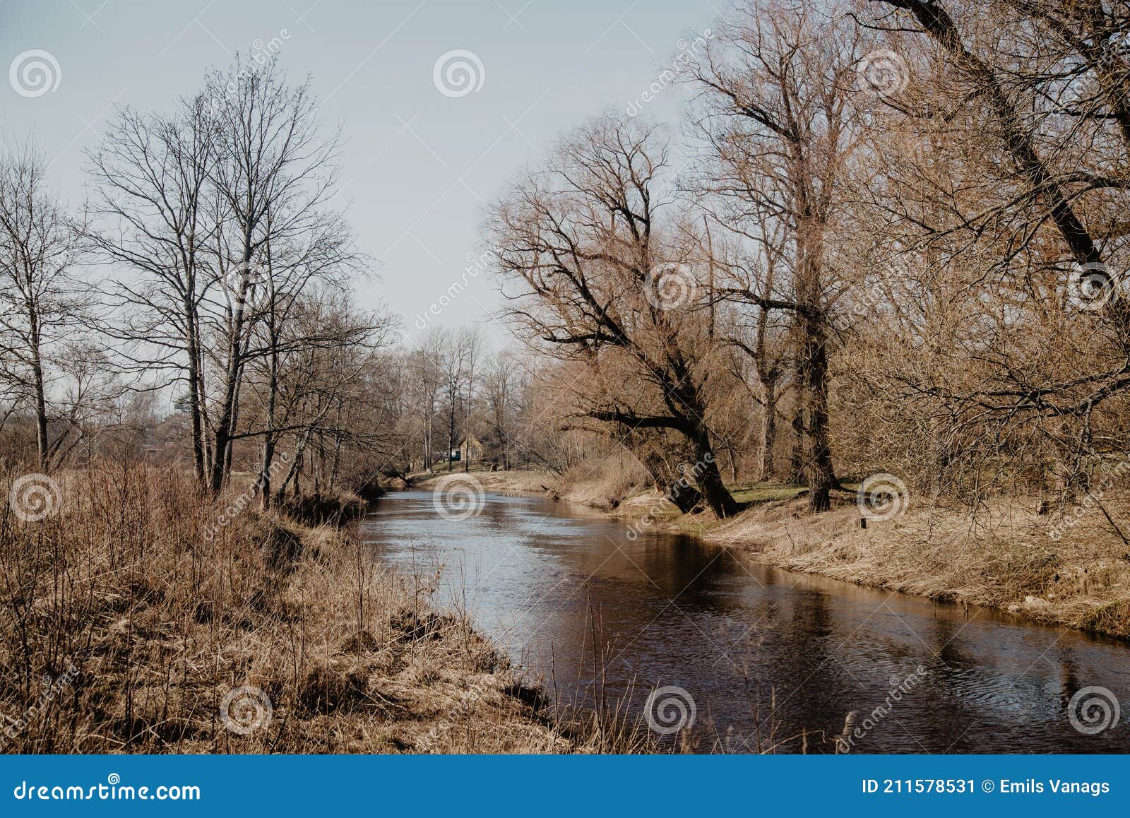 Forest River Water Reflection Landscape. River Forest Scene. Forest ...
