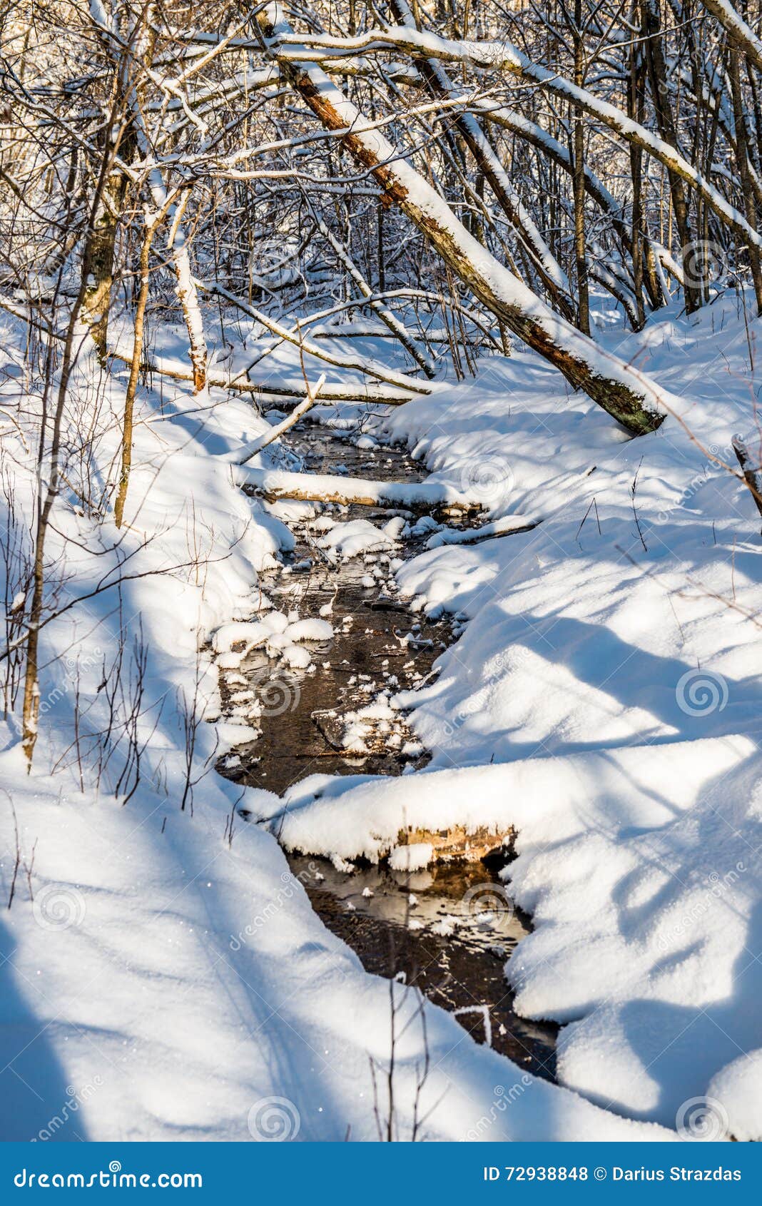 Forest river in winter stock photo. Image of season, nature - 72938848