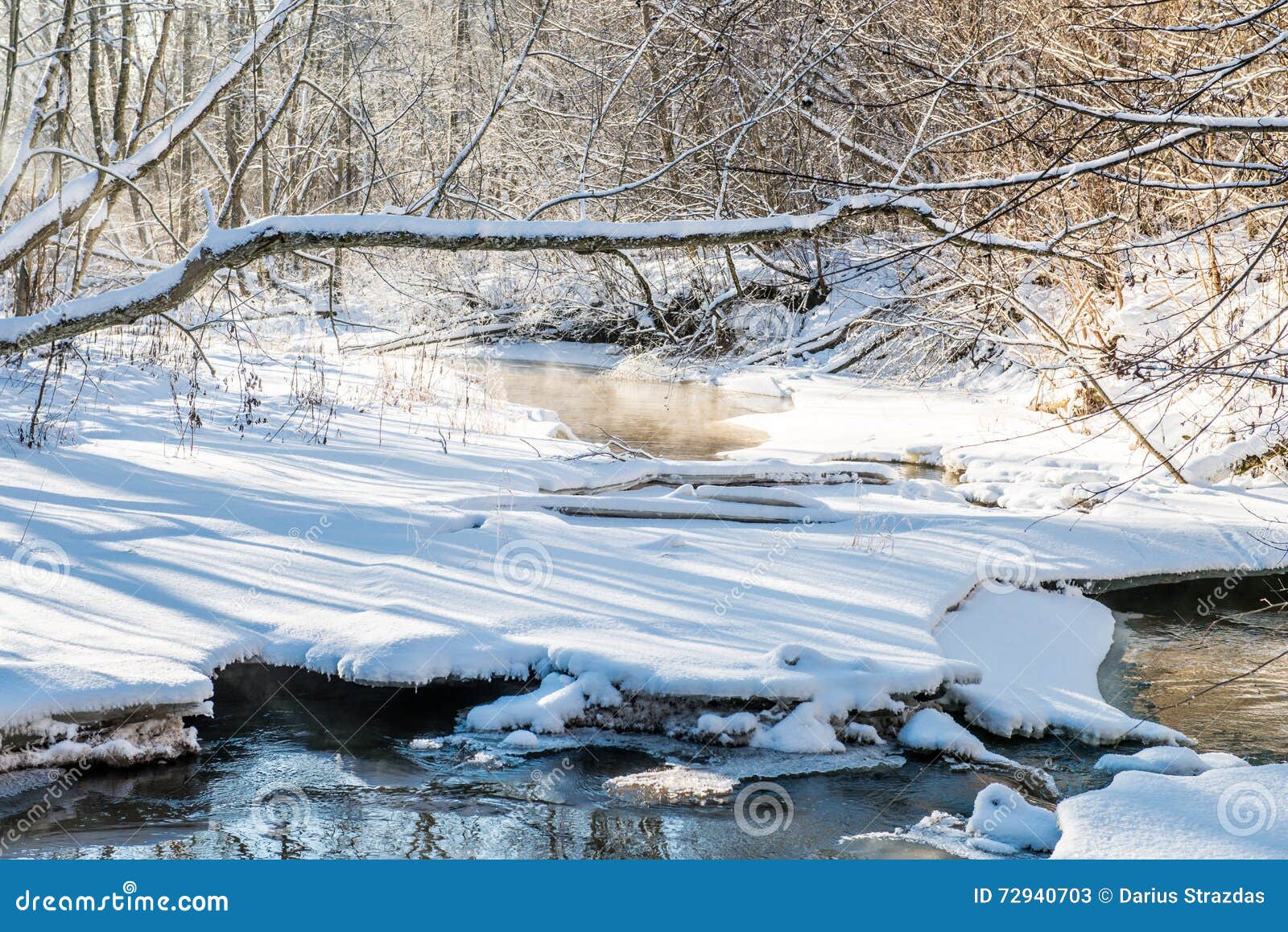 Forest river in winter stock image. Image of bare, scene - 72940703