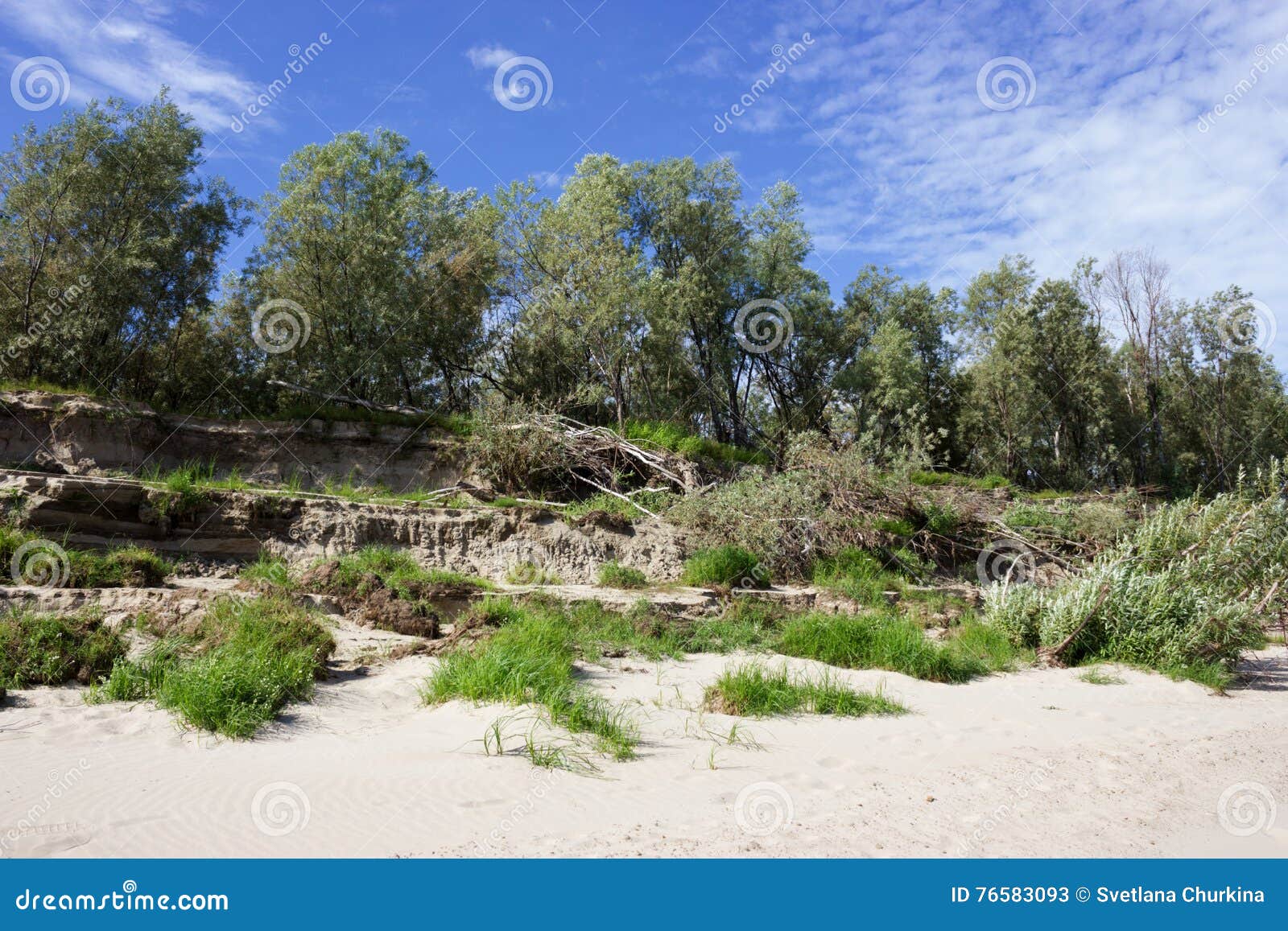 Forest on riverside stock image. Image of nature, tourism - 76583093