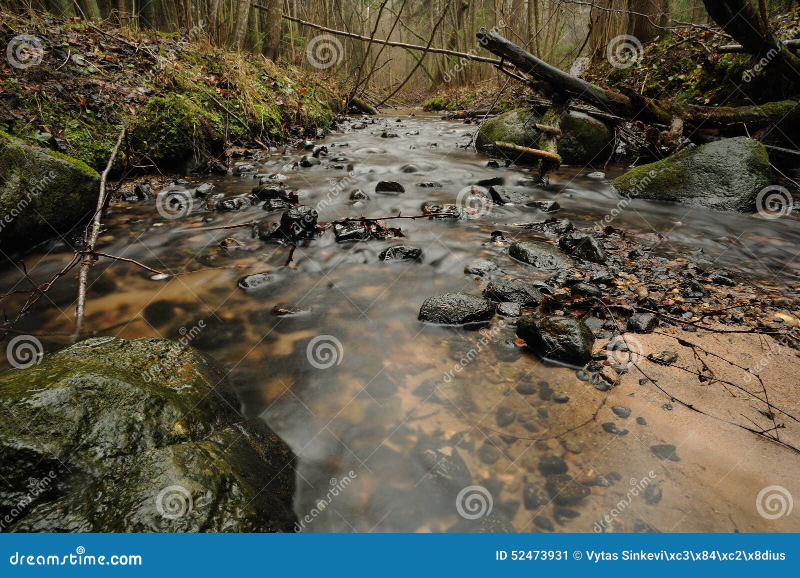 Forest Rivulet in Autumn with Long Exposure Stock Image - Image of ...