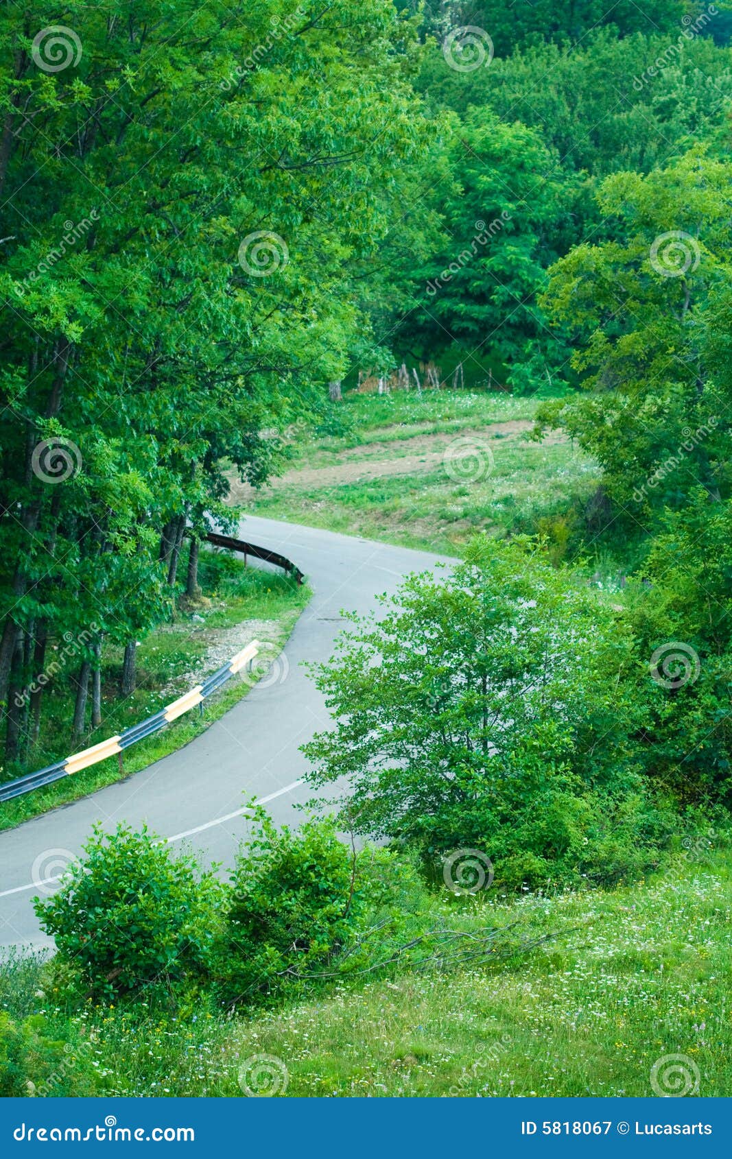 Forest road stock image. Image of scenic, summer, remote - 5818067
