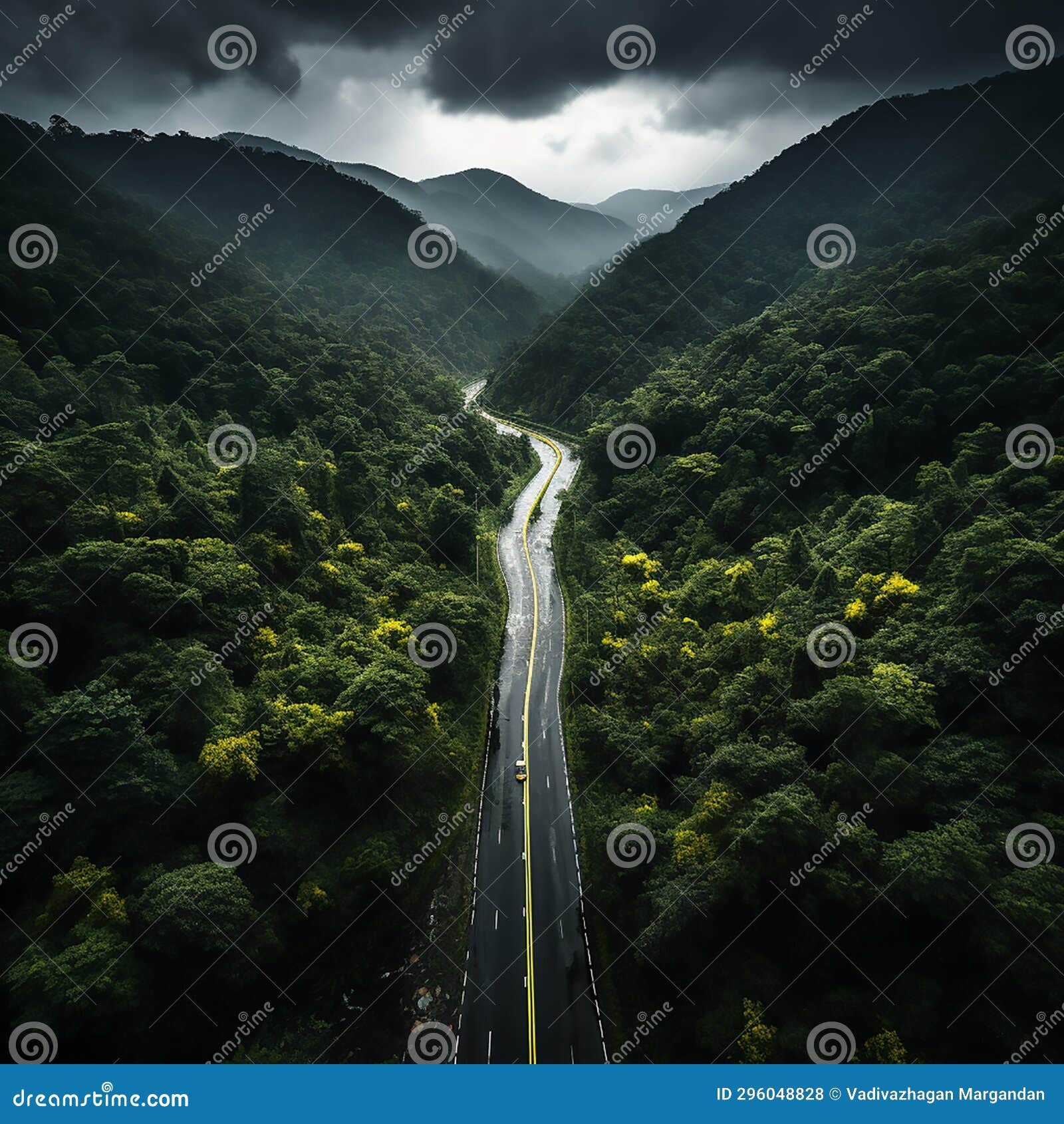 Forest Road from Aerial View Stock Illustration - Illustration of ...