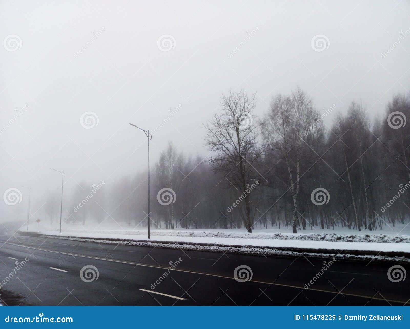 Forest in the Road is All in a Fog Stock Image - Image of green ...