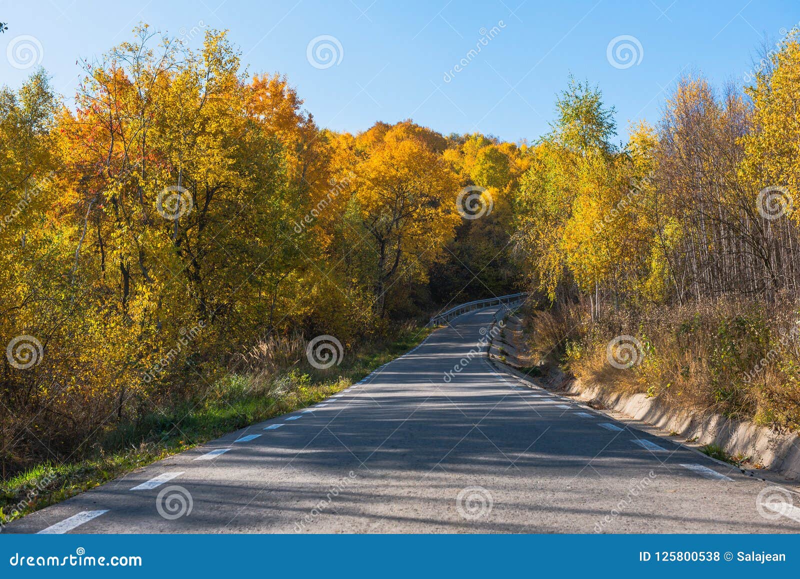 Forest road in the autumn stock photo. Image of destination - 125800538