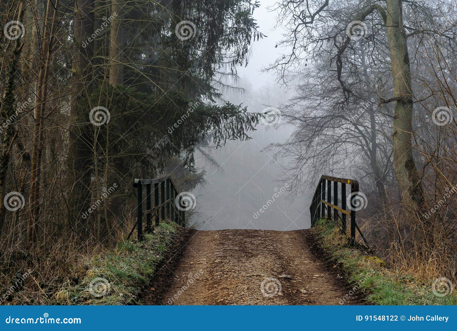 Forest Road and Bridge in Fog Stock Photo - Image of lonely, dirt: 91548122