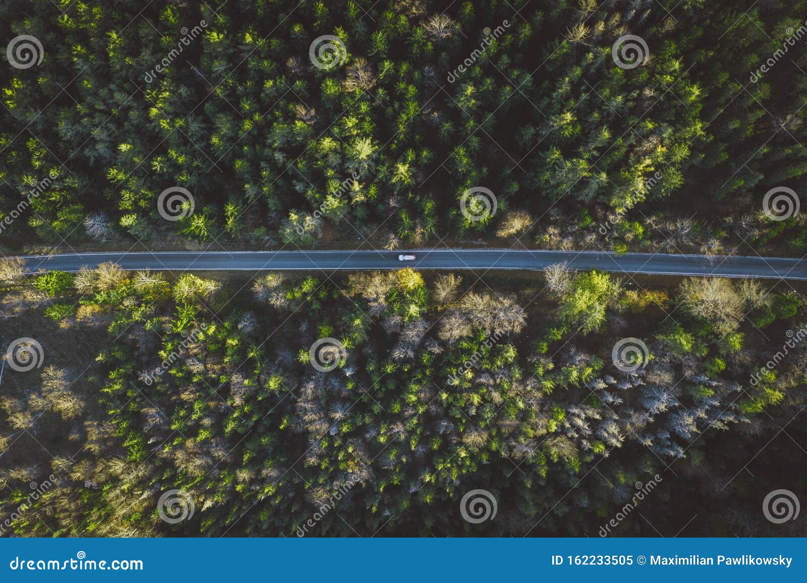 Forest Road with a Car Drone View Stock Image - Image of background ...