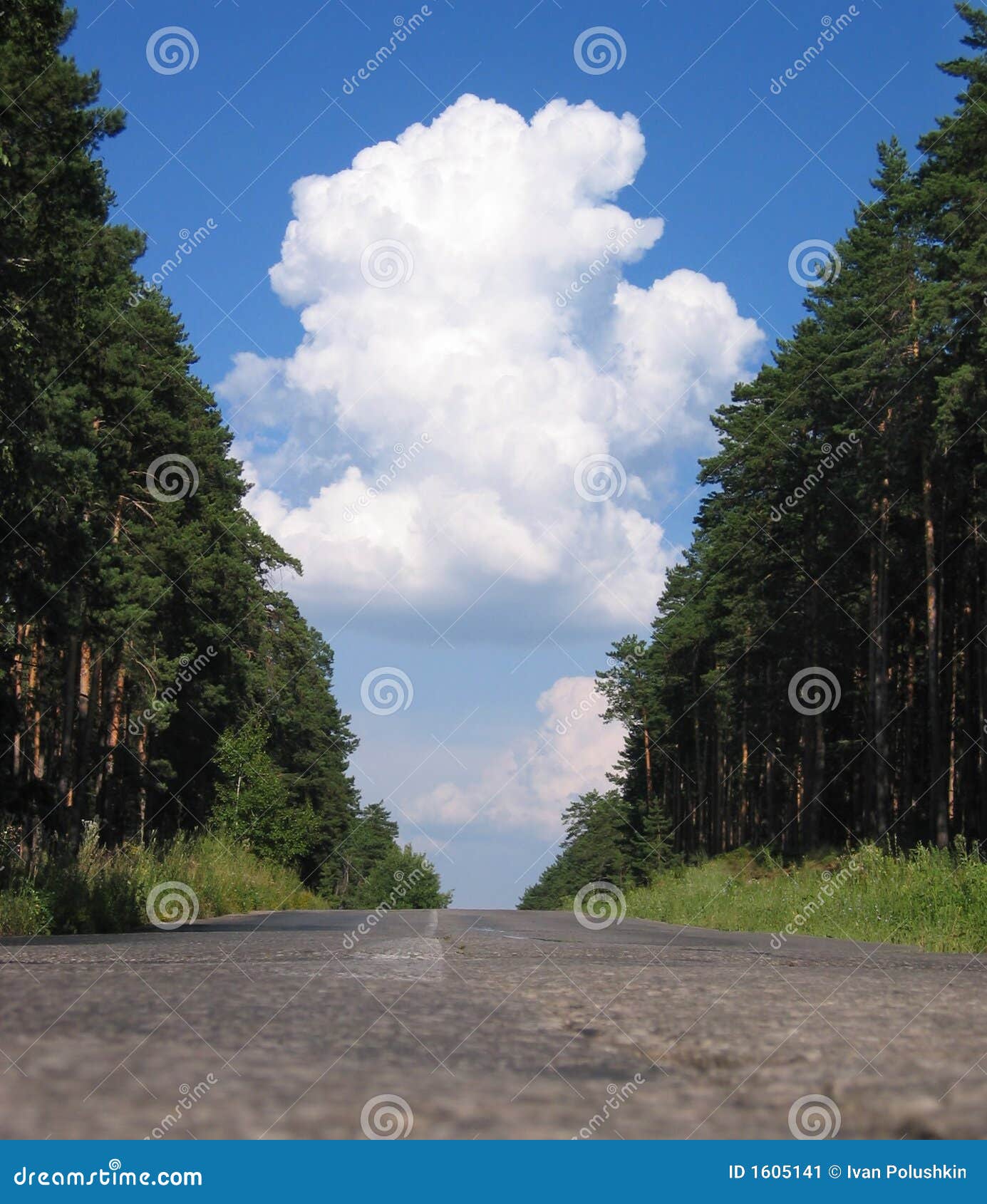 Forest road and clouds stock image. Image of journey, environment - 1605141