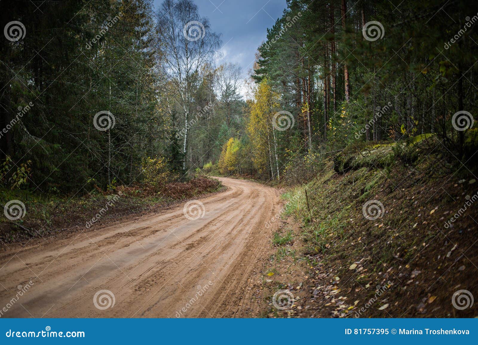 Forest Road Going through Autumn Forest Stock Image - Image of asia ...