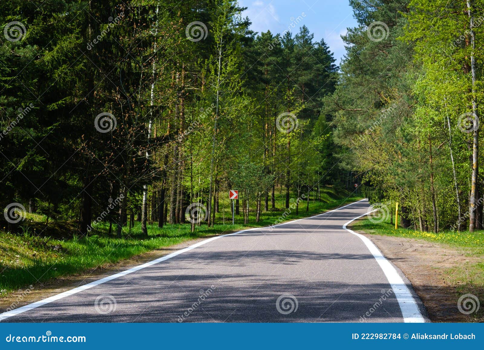 Forest Road is a Good Paved Road in the Forest on a Sunny Day Stock ...