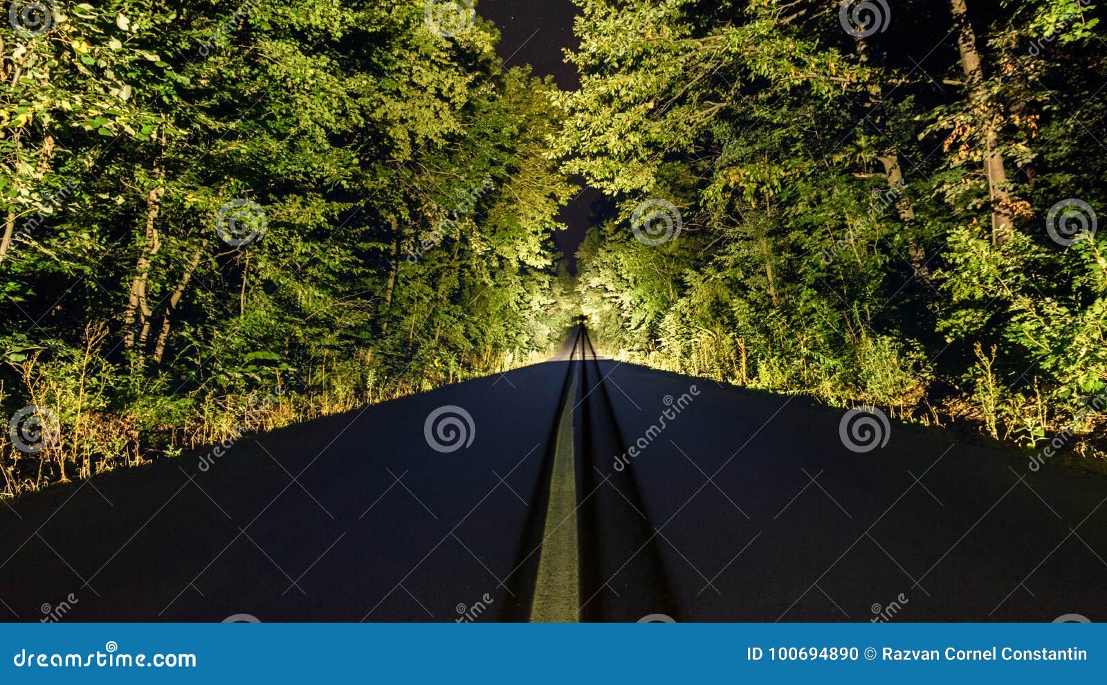 Forest road at night stock photo. Image of forest, exposure - 100694890