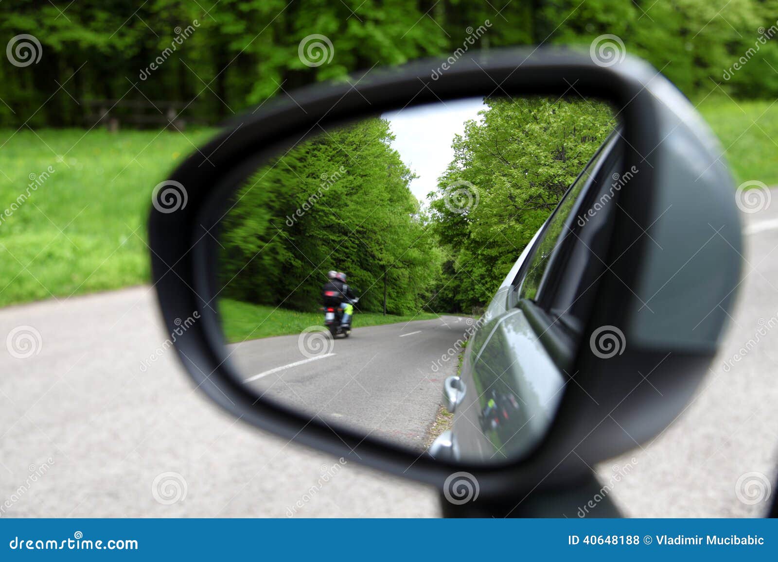 Forest Road Reflection, Rearview Car Driving Mirror View Green Stock ...
