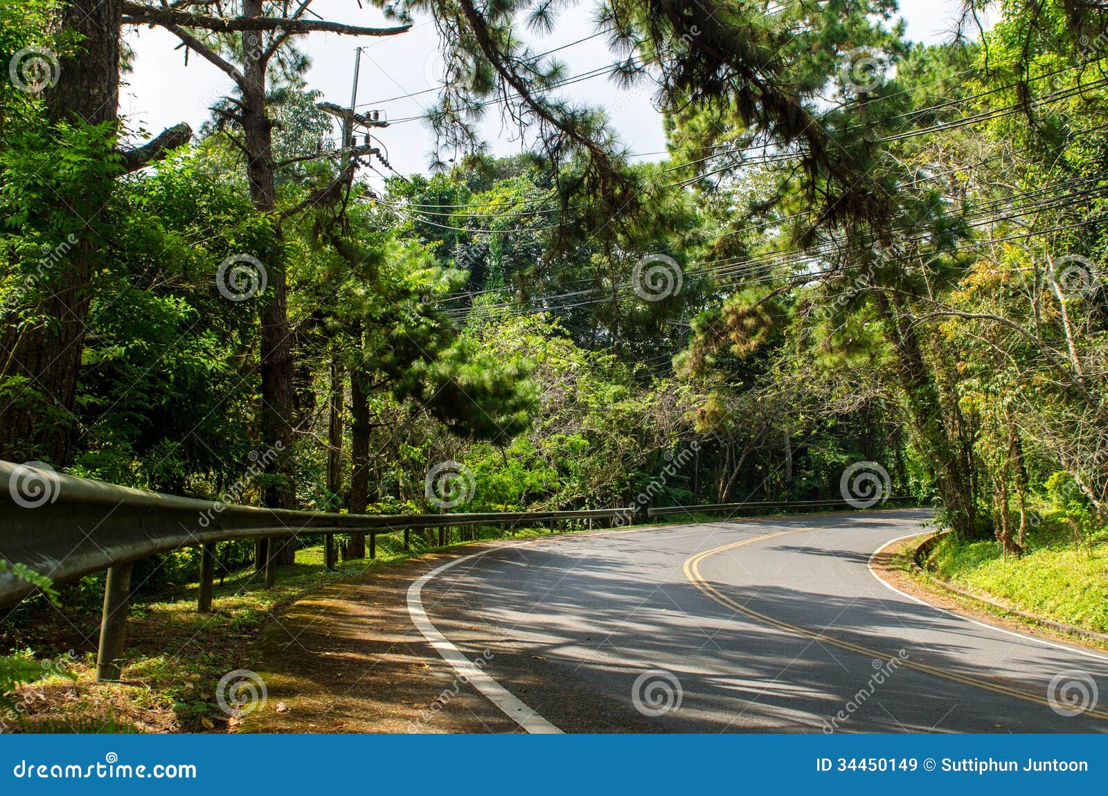Forest Road stock image. Image of grass, nature, bright - 34450149