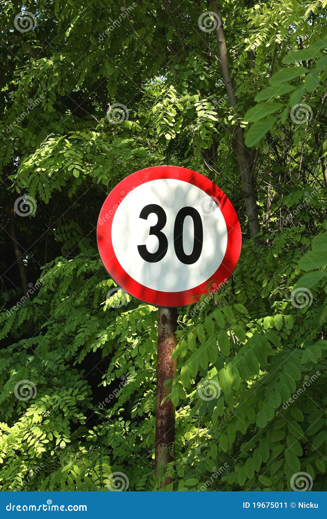 Forest road sign stock image. Image of forest, cover - 19675011