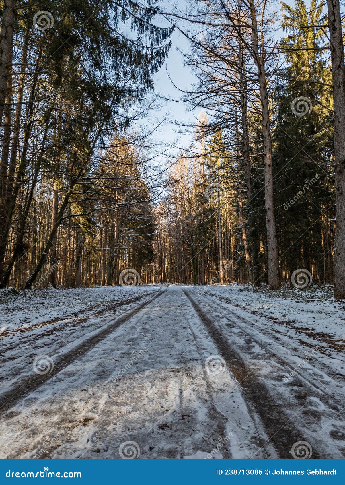 Forest road and snow lines stock photo. Image of nature - 238713086