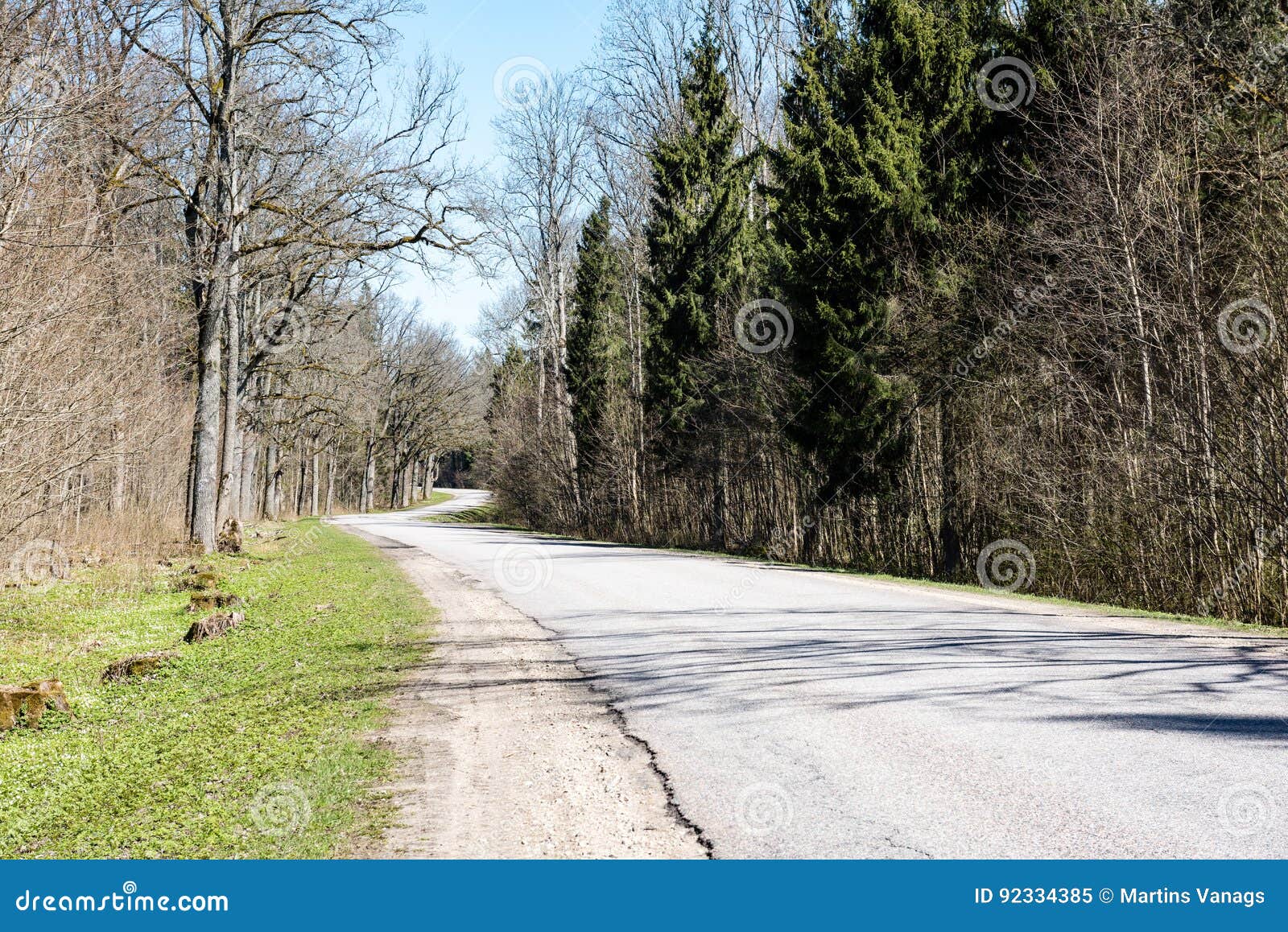 Forest Road with Sun Rays in the Morning Stock Image - Image of nature ...