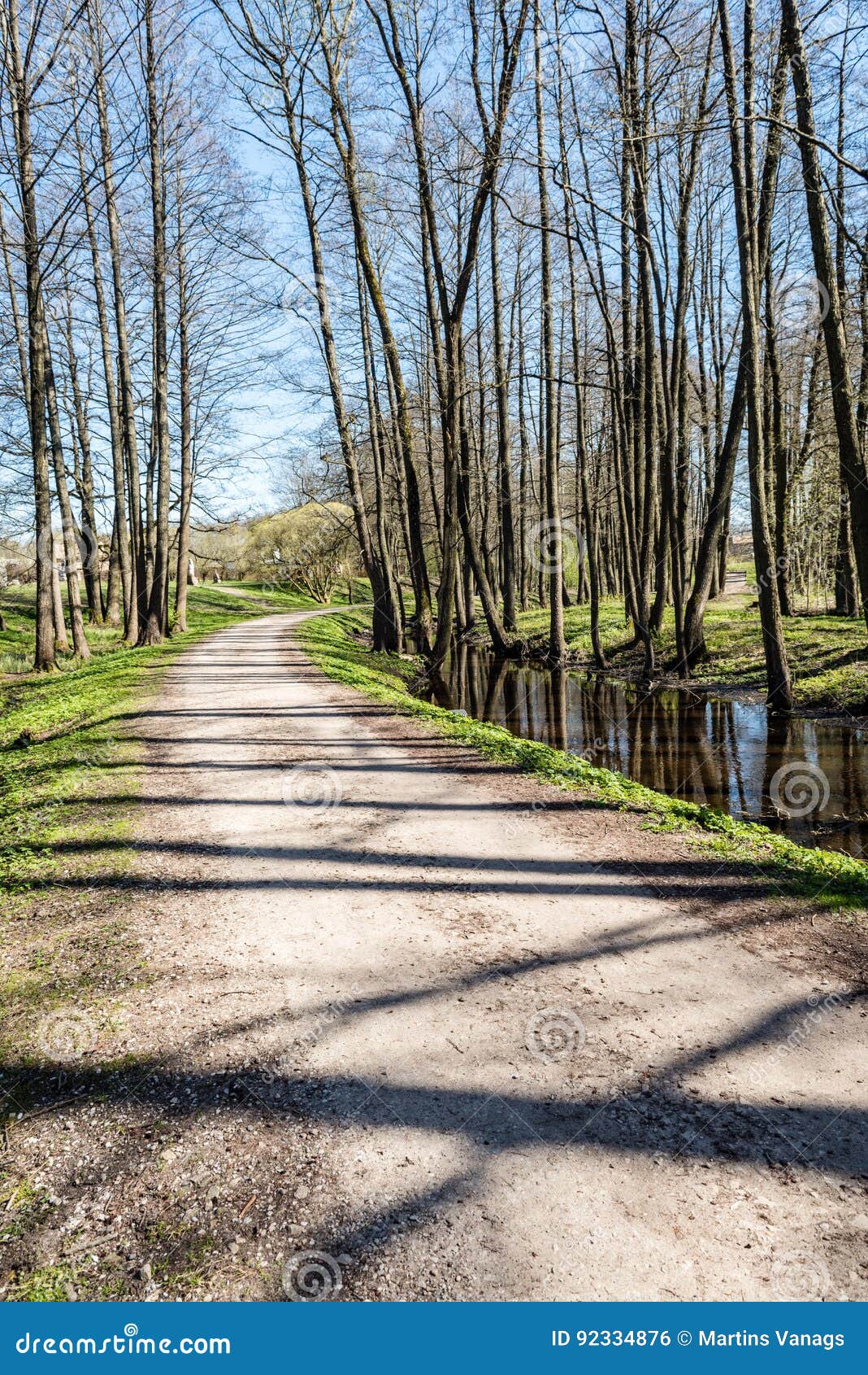 Forest Road with Sun Rays in the Morning Stock Photo - Image of asphalt ...