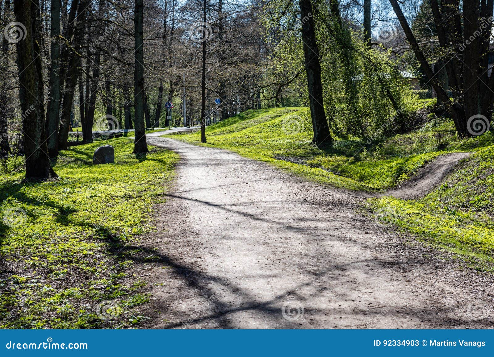 Forest Road with Sun Rays in the Morning Stock Image - Image of spring ...