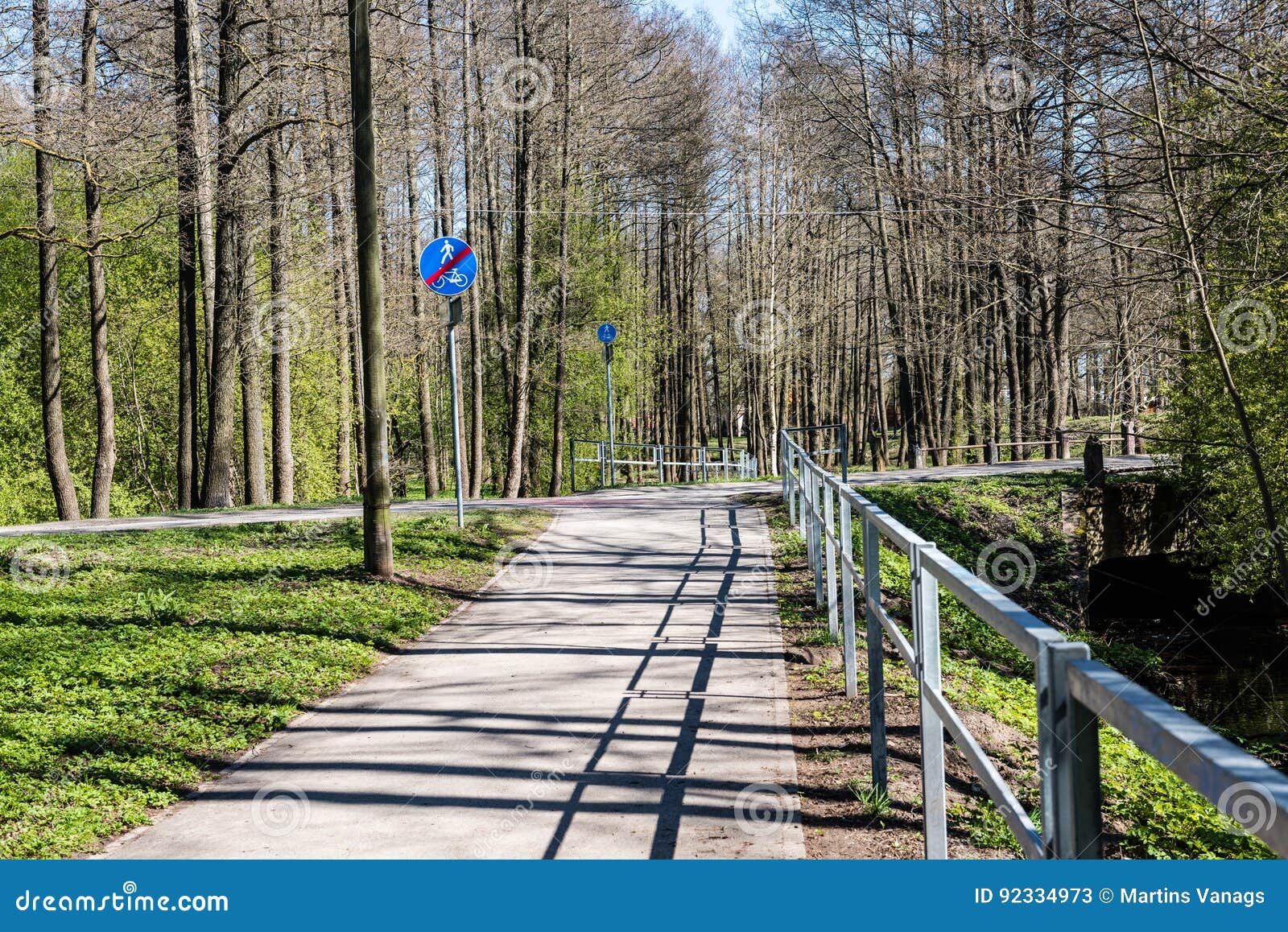 Forest Road with Sun Rays in the Morning Stock Image - Image of ...