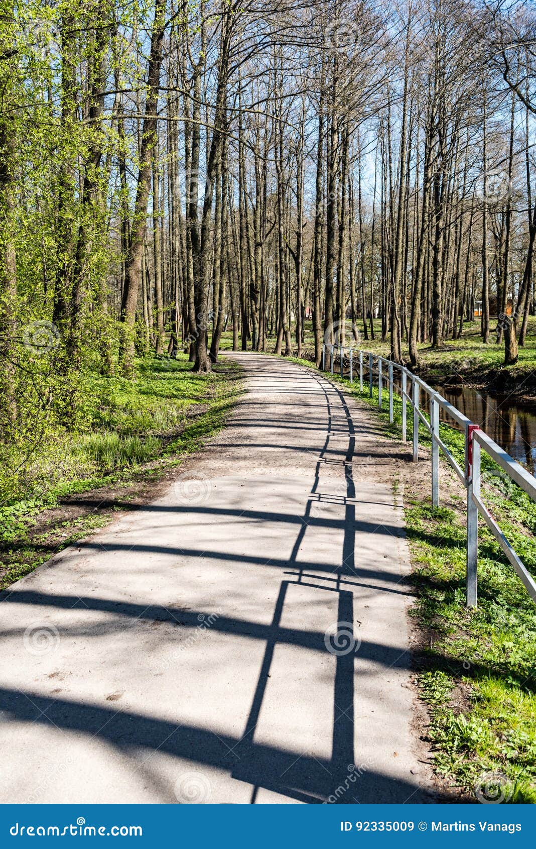 Forest Road with Sun Rays in the Morning Stock Image - Image of morning ...