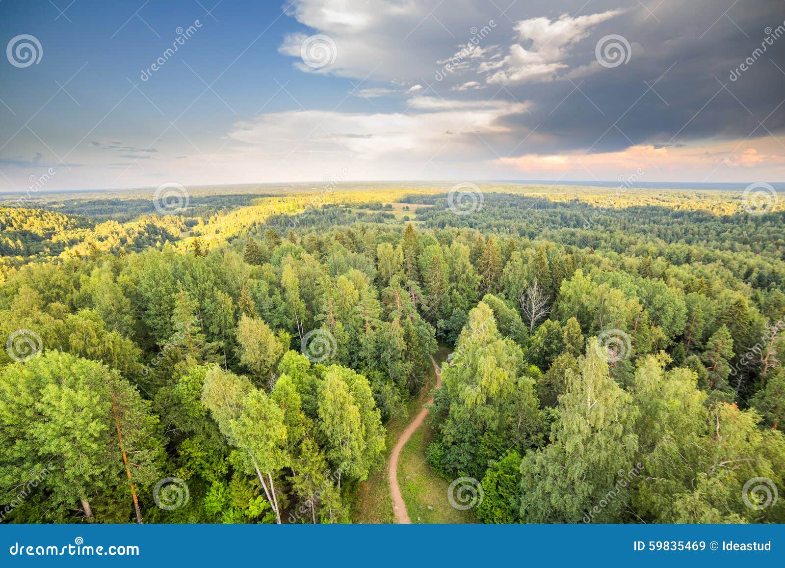 Forest with Road Sunset Aerial Dramatic Sky Stock Image - Image of ...