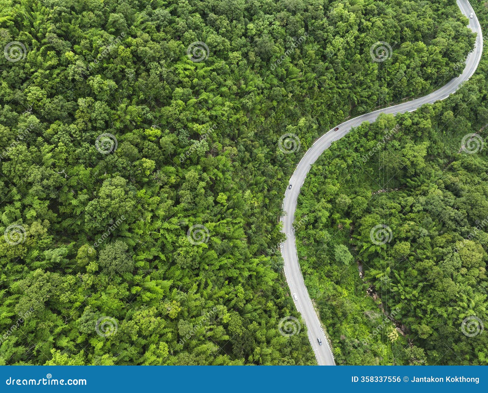 Forest Road ,Top View of Road in the Middle of the Forest Curve ...