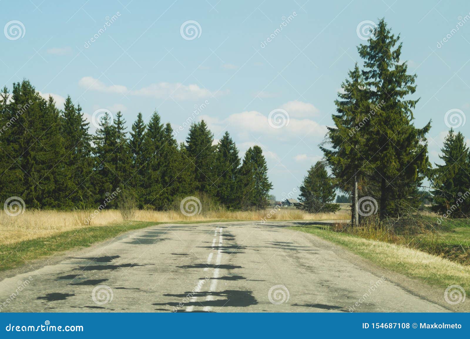 Forest Road. Way through the Forest Stock Photo - Image of summer, tree ...