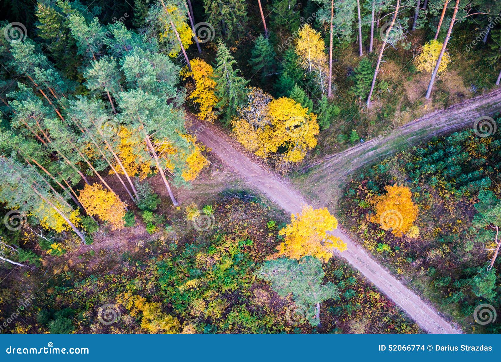 Forest roads crossed stock photo. Image of gold, beauty - 52066774