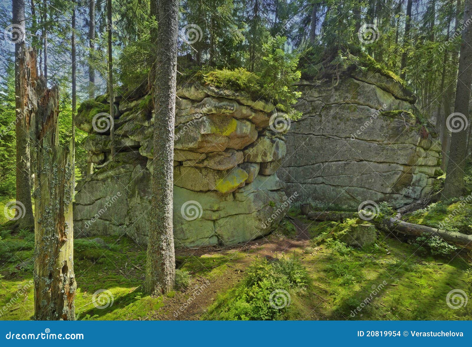 Forest with rock stock photo. Image of adventure, europe - 20819954