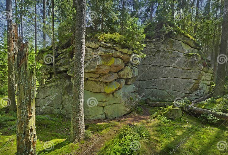 Forest with rock stock photo. Image of adventure, europe - 20819954