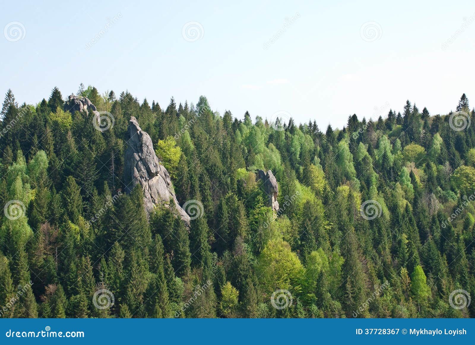Forest and rock stock image. Image of woods, peak, nature - 37728367