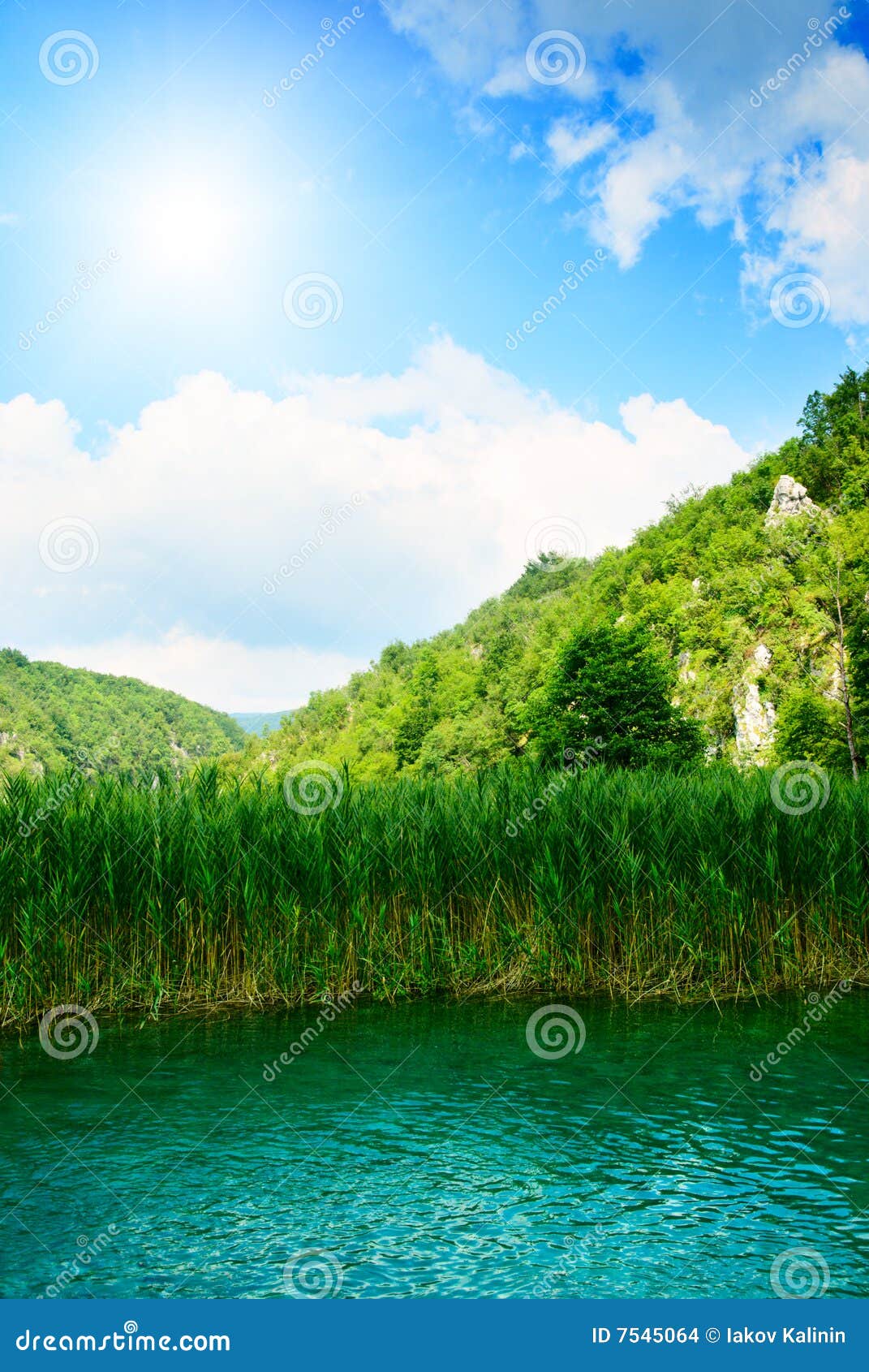 Forest rock and lake stock photo. Image of colorful, nature - 7545064