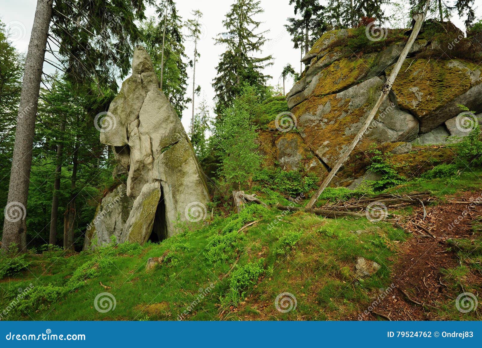 Forest and rock stock photo. Image of beauty, travel - 79524762