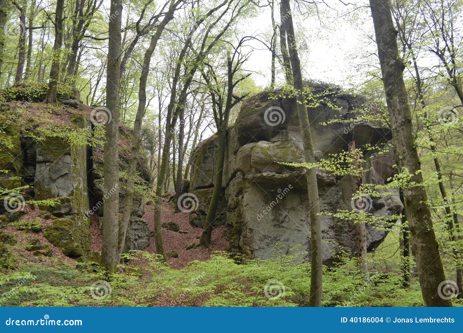 Forest and rocks labyrinth stock photo. Image of rocks - 40186004 Forest and rocks labyrinth stock photo. Image of rocks - 40186004