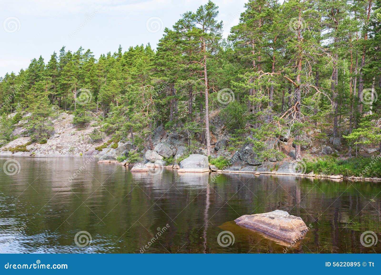 Forest and rocks at a lake stock image. Image of coniferous - 56220895