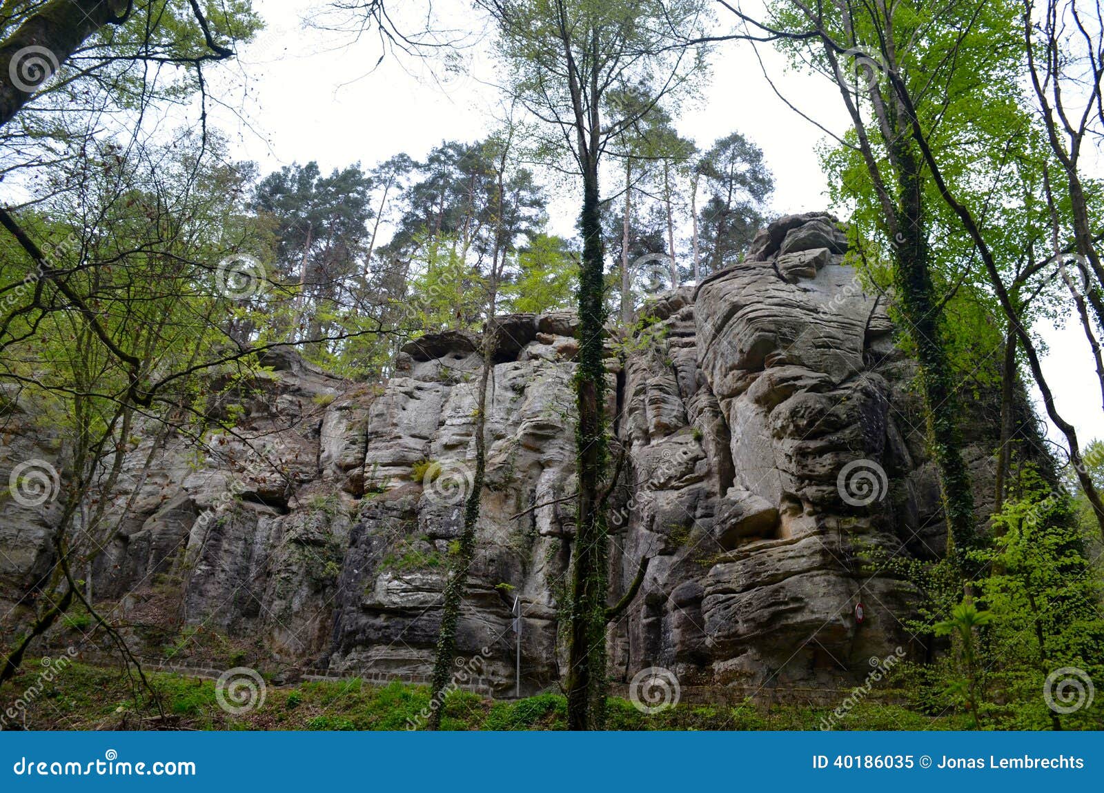 Forest and rocks stock image. Image of hiking, walking - 40186035