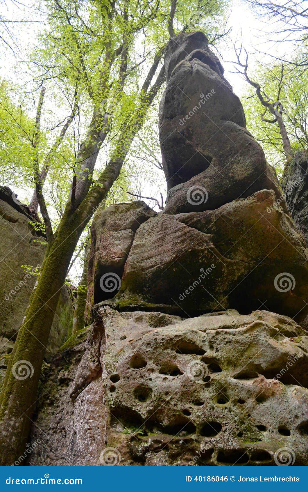 Forest and rocks stock photo. Image of germany, roman - 40186046