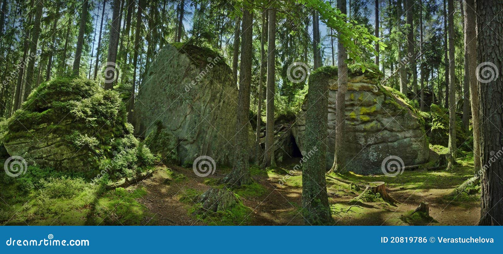 Forest with Rocks in the National Park Stock Photo - Image of paradise ...