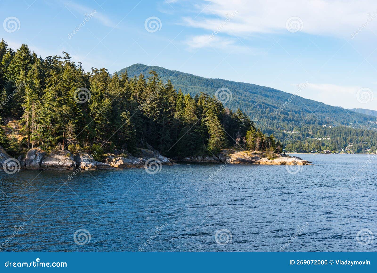 Forest on the Rocks in the Ocean Stock Photo - Image of trees, sand ...