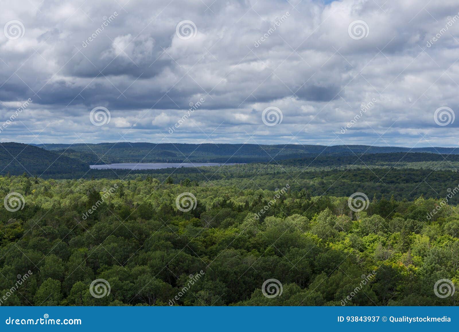 Forest Rolling Hills immagine stock. Immagine di parco - 93843937