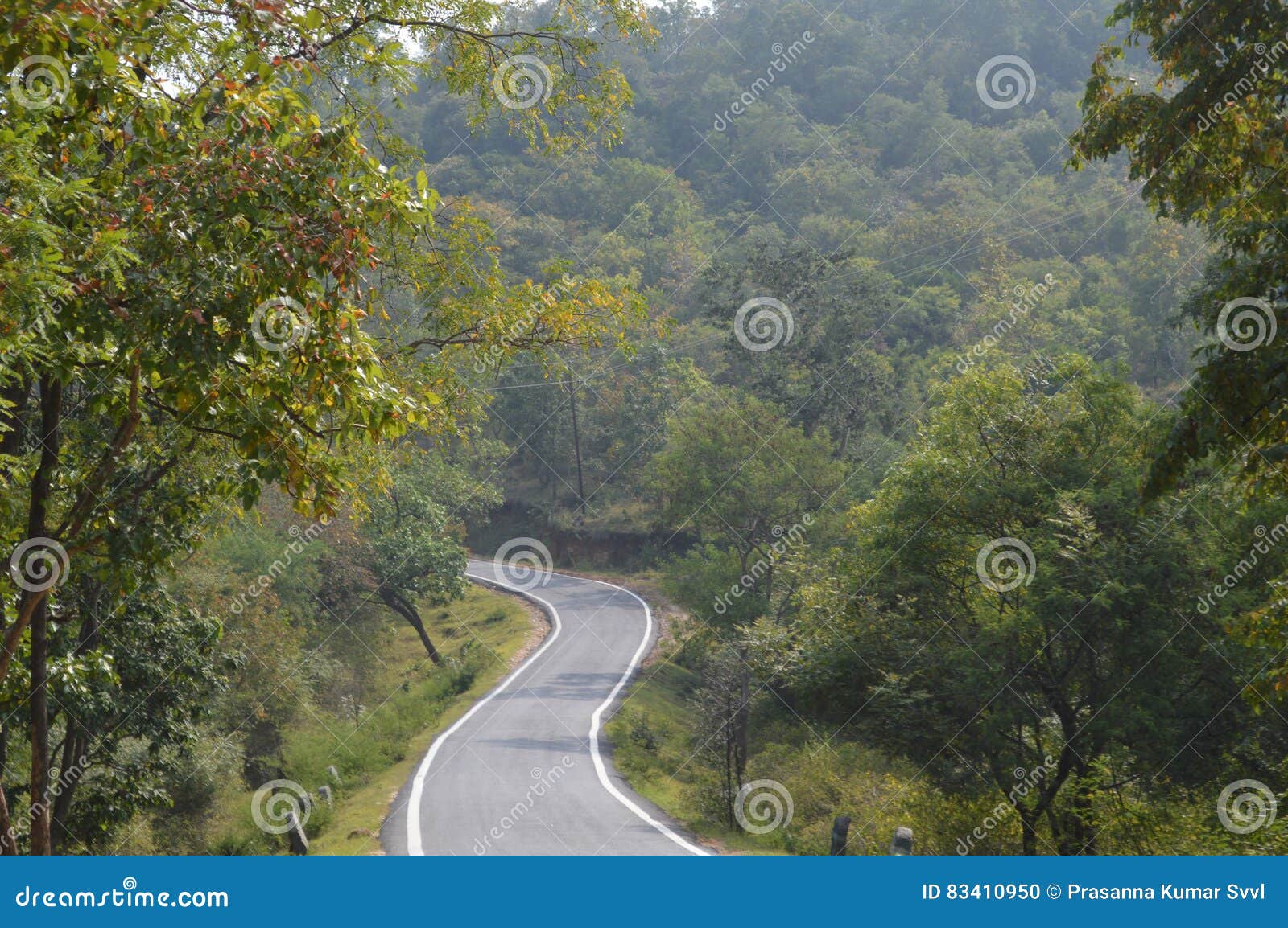 Forest route in karnataka stock photo. Image of fisher - 83410950