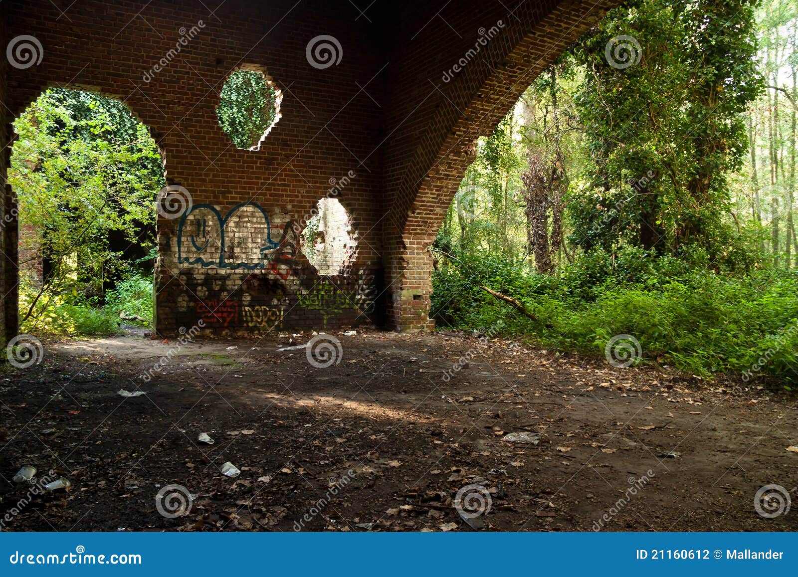 Forest ruins stock photo. Image of tree, hidden, ruins - 21160612