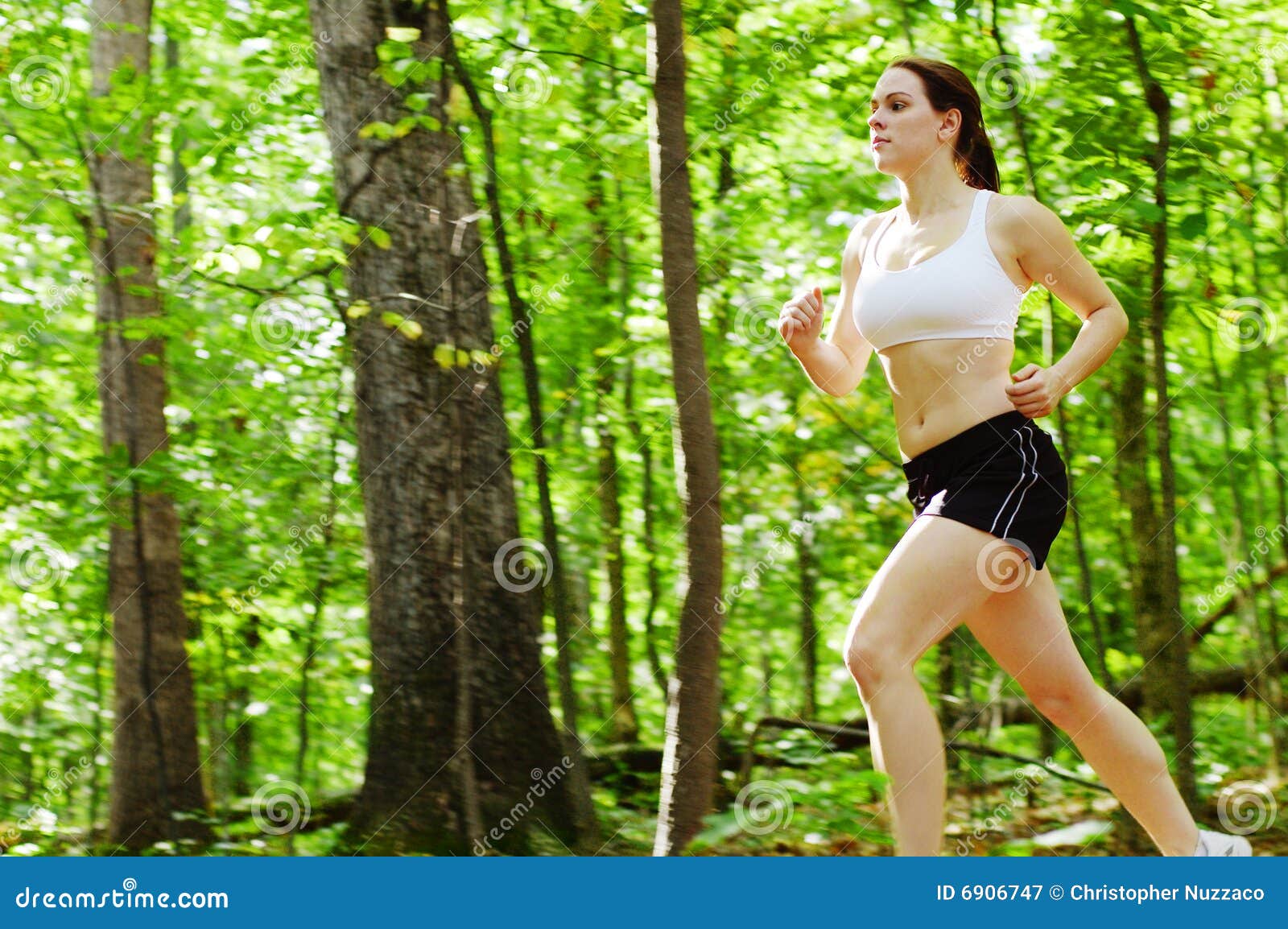 Forest Runner stock image. Image of lush, shorts, trees - 6906747