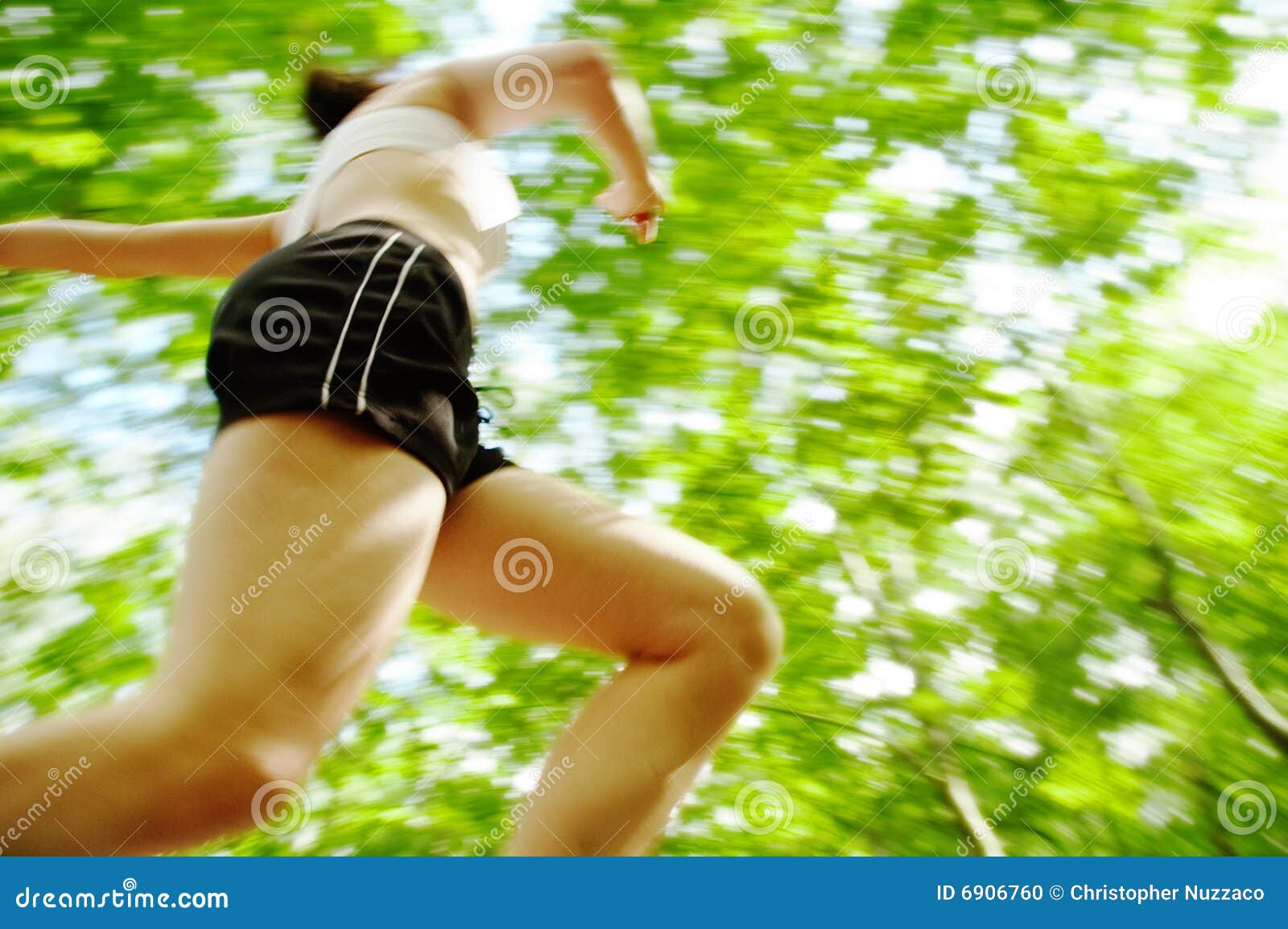 Forest Runner stock photo. Image of outdoor, leaf, bright - 6906760