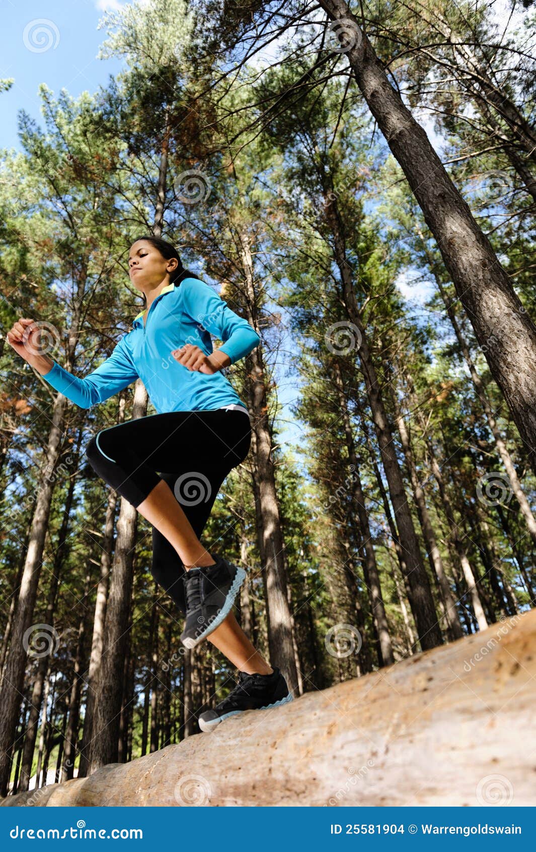Forest running woman stock photo. Image of athlete, endurance - 25581904
