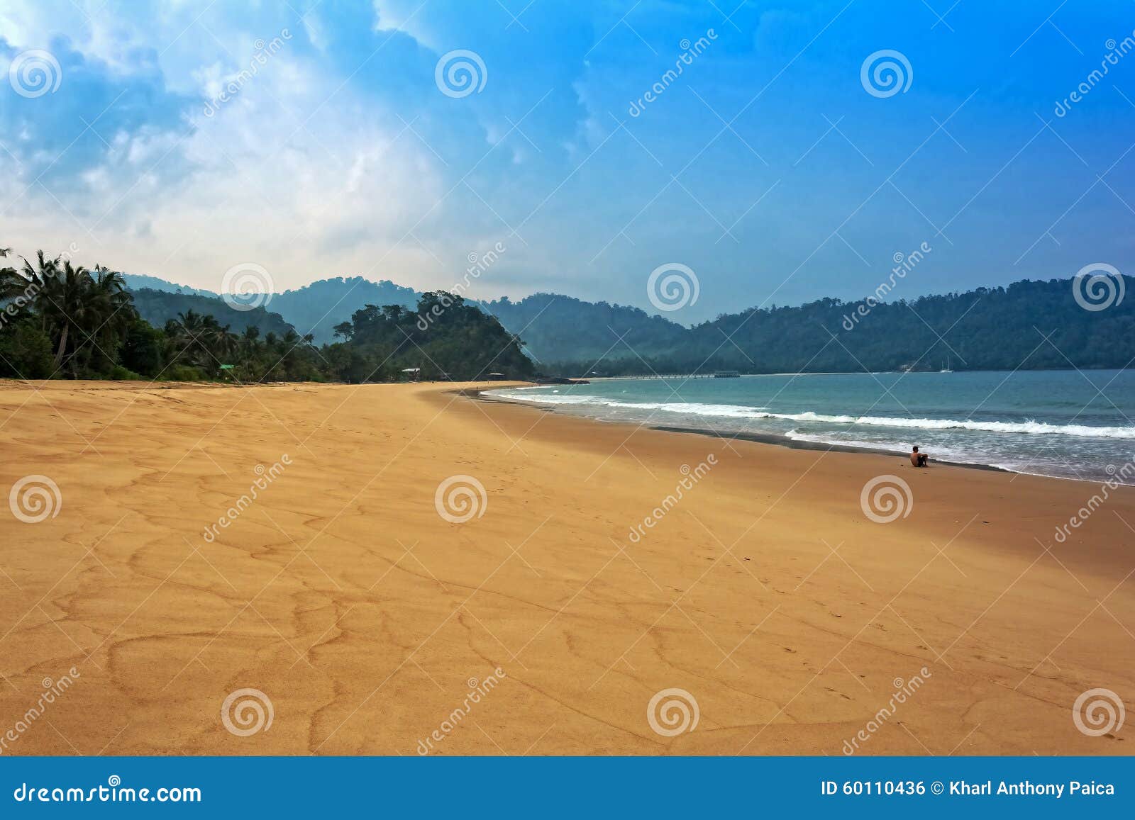 Forest, Sand & Sea stock photo. Image of forest, brown - 60110436